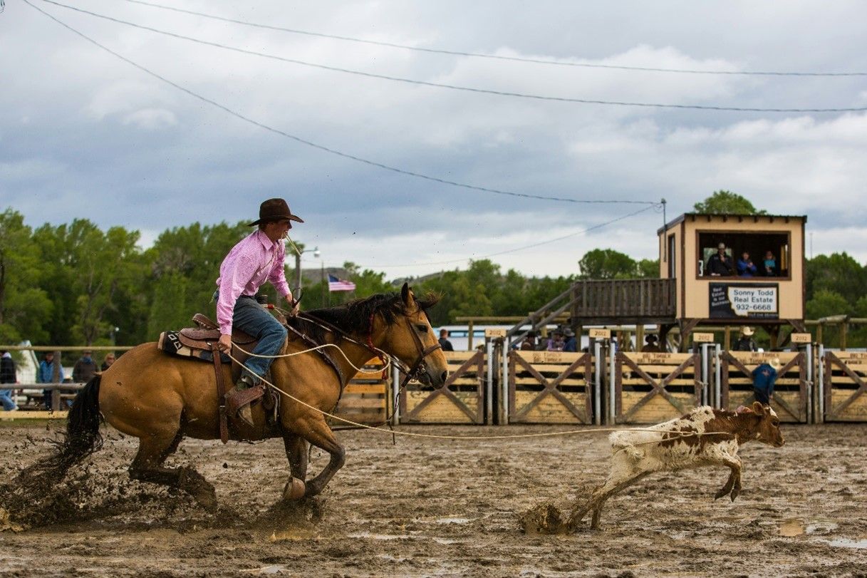 A Complete Guide to Getting Your Real Estate Broker License in Texas